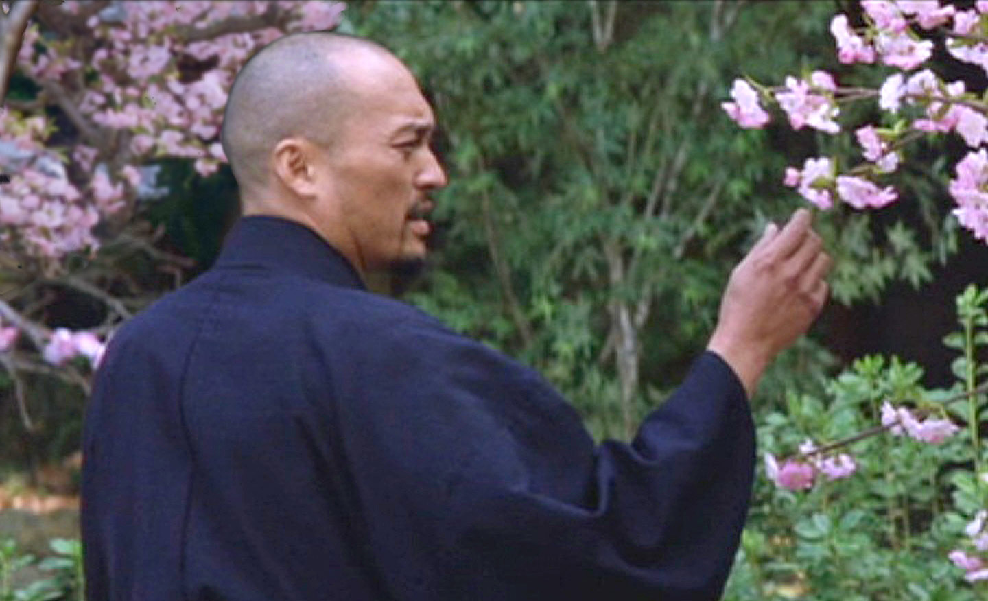 Kendo’s Healing Message for April | Kendo Nagasaki Blog